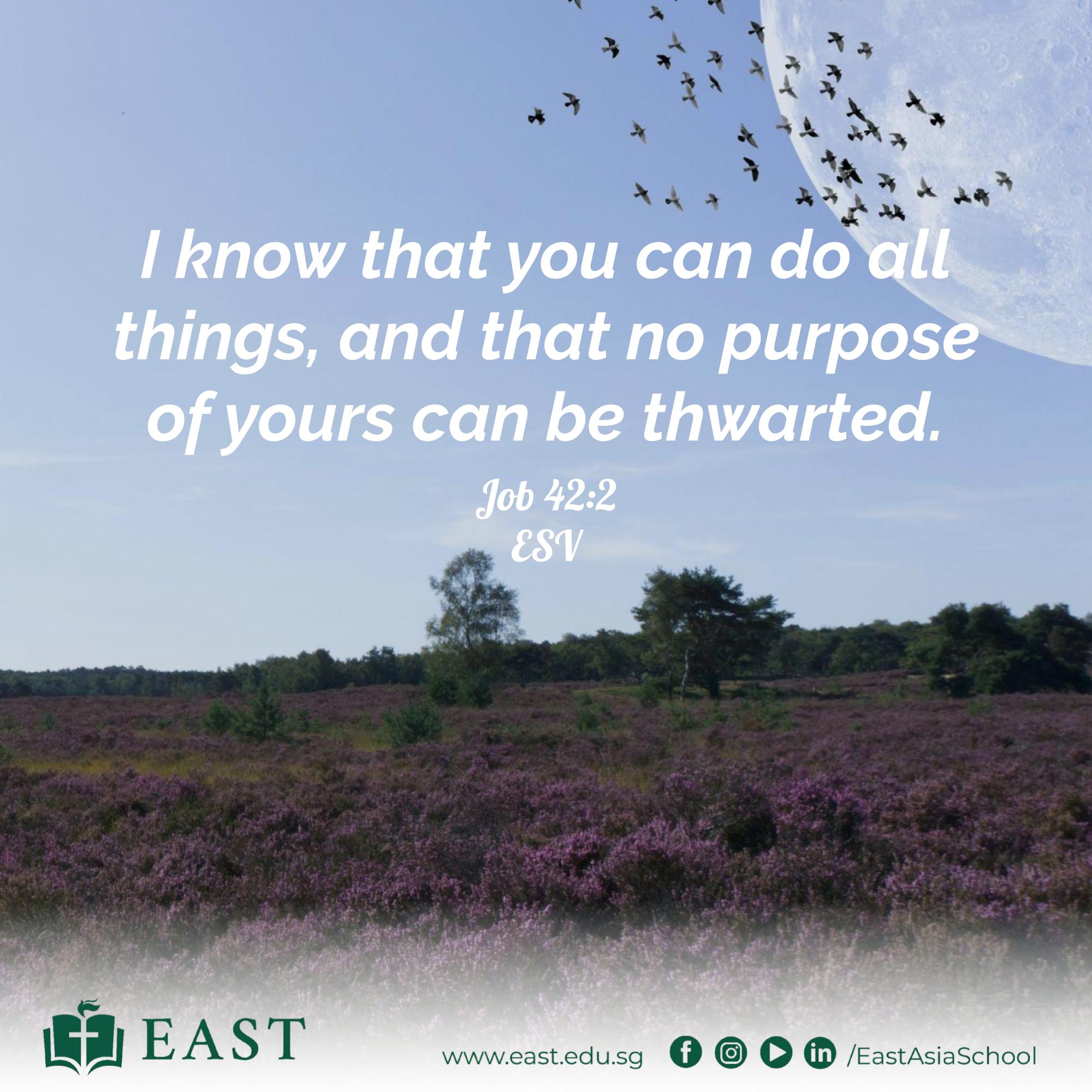 A human misunderstanding of divine purposes : East Asia School of Theology