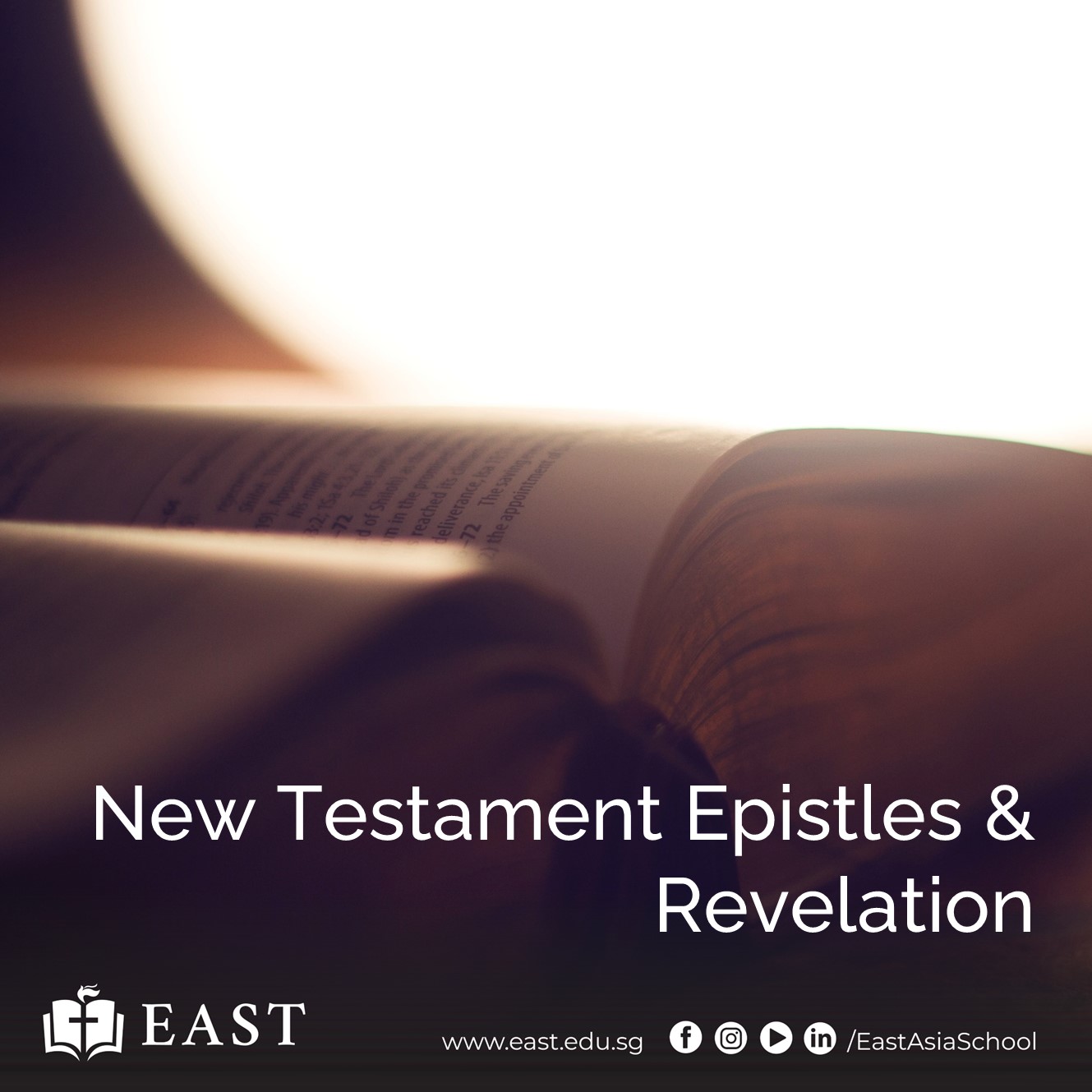 New Testament Epistles And Revelation Onsite Day Course East Asia
